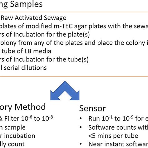 A Flowchart Of The Methods Used To Prepare Culture Of Environmental E