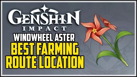 Top Best Locations To Find Windwheel Aster In Genshin Impact Top Best Locations To Find Windwheel Aster In Genshin Impact