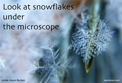 Blog Posts List Rs Science