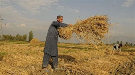 4 Month Farmers Orientation Programme Launched In Jandk For Holistic Agriculture Development