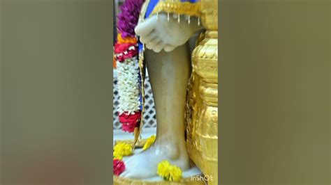 Om Sai Ram Om Sai Shyam Omsailaxmi Saiaashirwad Ytshorts Shortfeedstatus Treading Youtube