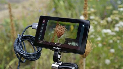 PortKeys LH5P II Review - Camera Jabber