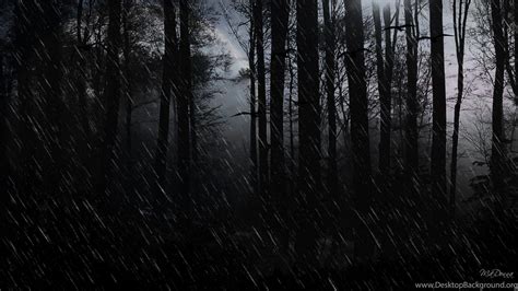 Dark Forest 4k Ultra Hd Wallpapers Top Free Dark Forest 4k Ultra Hd