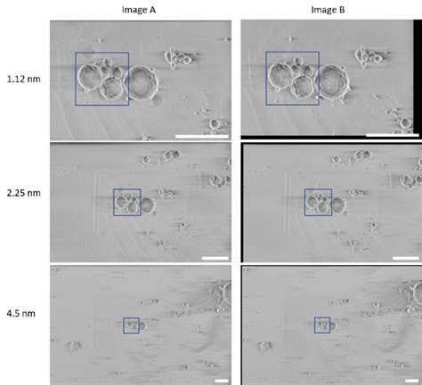 Calibration Dataset Of Polystyrene Beads Used To Calculate The