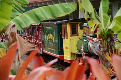 Assignment3part1 Flickr