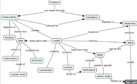 [solved] Please Illustrate A Protein Concept Map Including The Following Course Hero