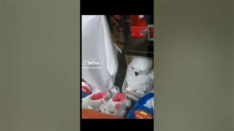 Dobi Es Un Elfo Libre Youtube