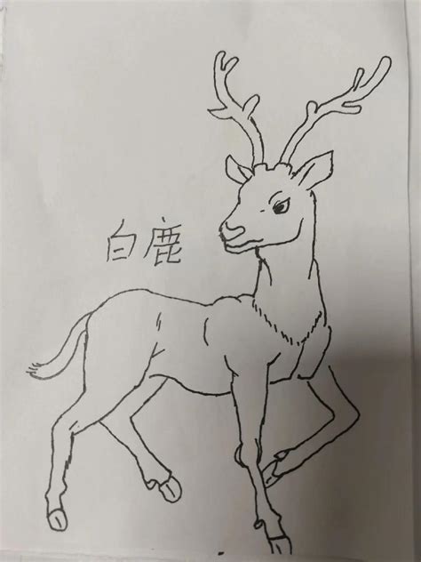 山海经异兽图简笔画简笔画图片大全