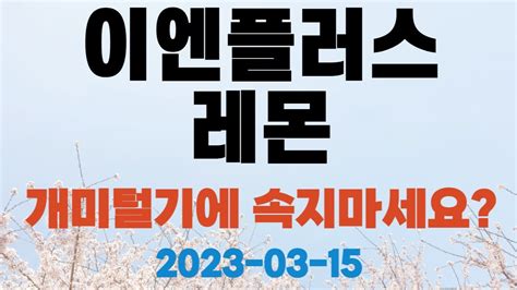 이엔플러스 레몬주가 전망긴급속보 개미털기에 속지마세요 Youtube