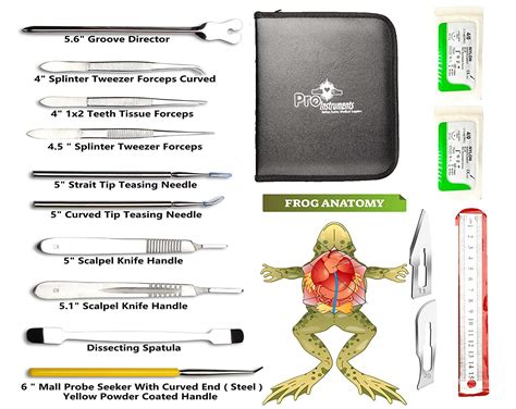 Mua 39 Pcs Advanced Dissection Kit For Botany Veterinary Medical