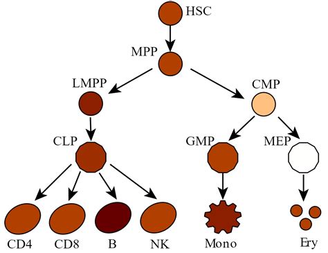 Gallery Stand Alone Tools — Hemtools Latest Documentation