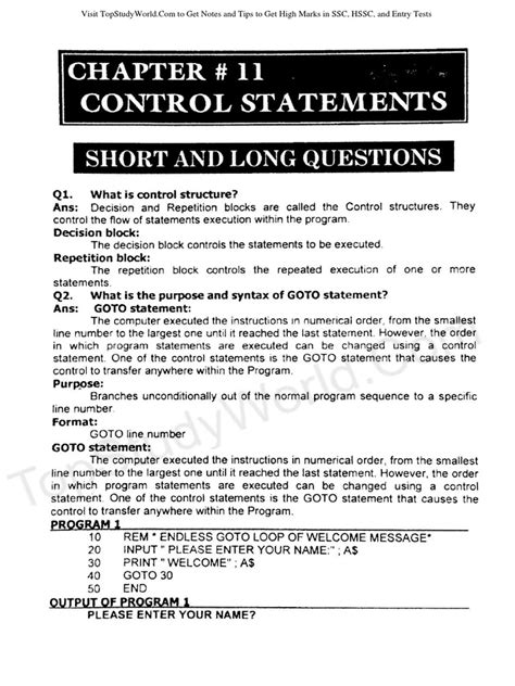 Chapter 11 Computer Science 10th Class Pdf