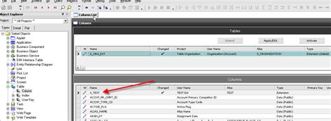 HelloSiebelWorld How To Create Siebel Like Custom Tables S Or Column Within Tables Without X