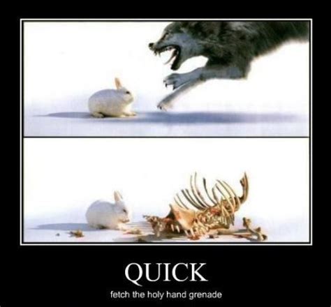 Monty Python Rabbit Quote Shortquotes Cc