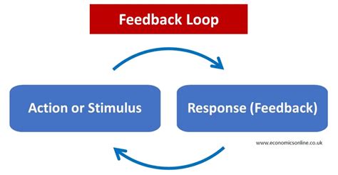 Examples Of Positive Feedback Loops In Action