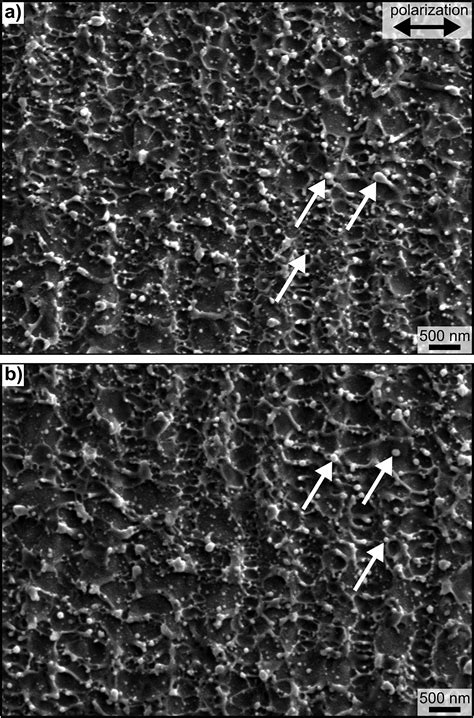 Tracing The Formation Of Femtosecond Laser Induced Periodic Surface