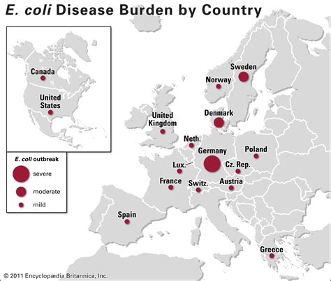 German E Coli Outbreak Of 2011 Summary And Facts Britannica