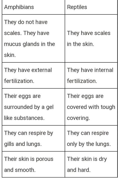 Amphibians And Reptiles Differences