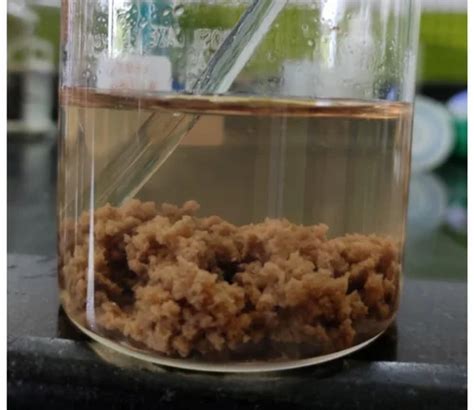 Cationic Polyacrylamide Powder At ₹ 510 Kg Pune Id 2857530158862