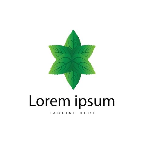 Vector De Logotipo De Hoja Verde Planta Natural Diseño De La Naturaleza