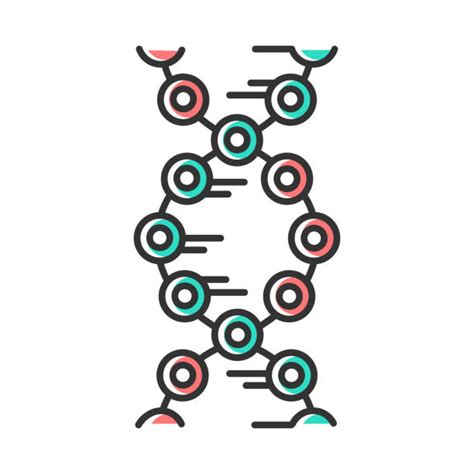 Nucleic Acid Drawing Illustrations Royalty Free Vector Graphics And Clip Art Istock