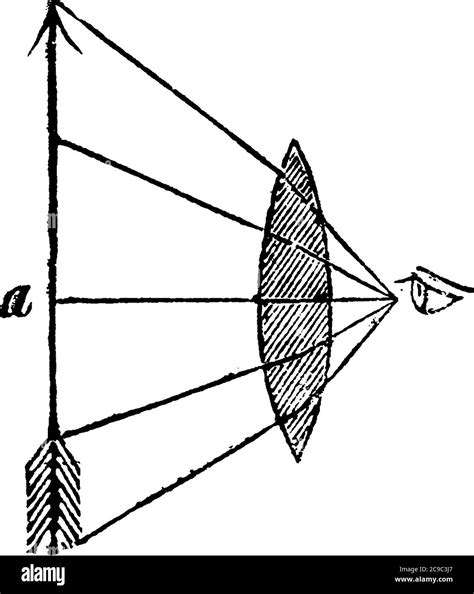Subtends Stock Vector Images Alamy