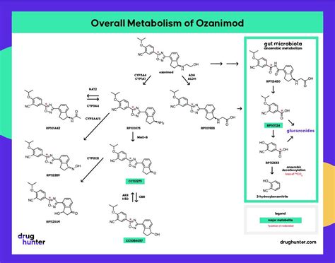 Billion Dollar Biotransformations On The Metabolism Of Ozanimod