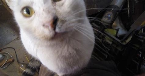 Another Epsilon2 Pipe Album On Imgur