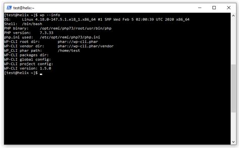 What Is WP CLI A Beginner S Guide ScalaHosting Blog