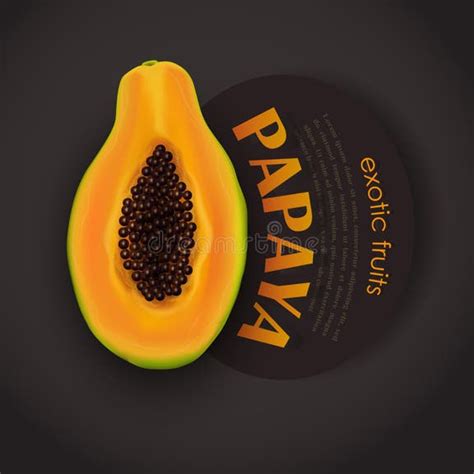 Creative Banner With Half Papaya Exotic Fruits In Realistic Vector