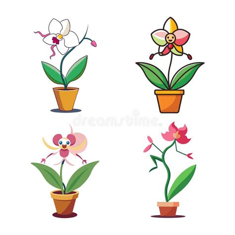 Cartoon White Orchid Flower In A Pot Stock Vector Illustration Of