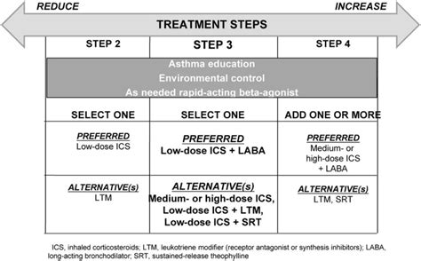 Section 1 Epr 3 Versus Gina 2008 Guidelines Asthma Control And Step 3 Care Highlights Of The
