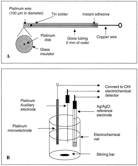 Structure Of The A Platinum Microelectrode And B Experimental Setup
