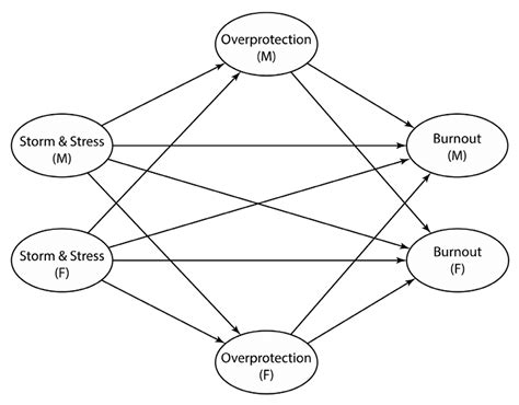 Conceptual Model The Actor Partner Interdependence Mediation Model