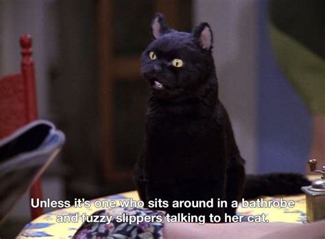 All Images Belong To Cbs Paramount And Archie Comics Cats Salem