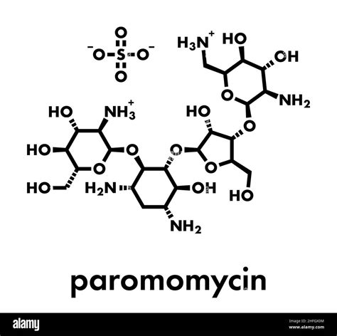 Paromomycin Aminoglycoside Antibiotic Drug Molecule Skeletal Formula