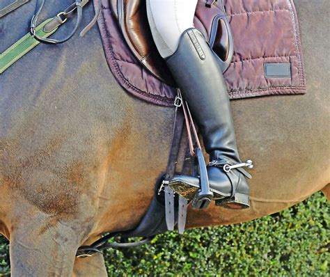 Hollowing Your Back Or Slouching This Is Why Stirrup Length Matters