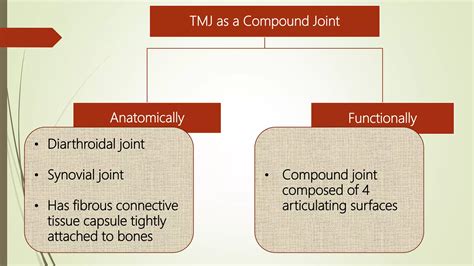 Applied Anatomy Of Tmj Pptx