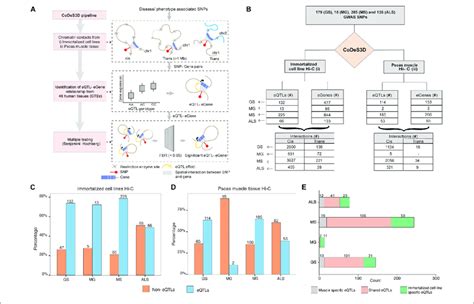 Gwas Snps Associated With Gs Mg Ms And Als Mark Functional Download Scientific Diagram