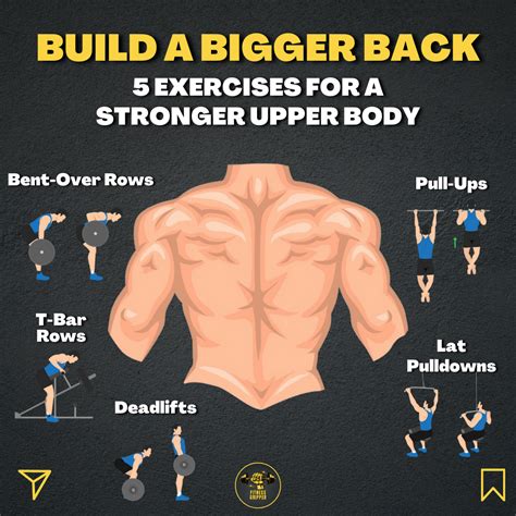 Build A Bigger Back 5 Exercises For A Stronger Upper Body Upper Body