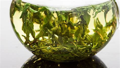 枸杞尖茶叶枸杞叶尖第3页大山谷图库