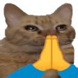 Cat Pray S Tenor