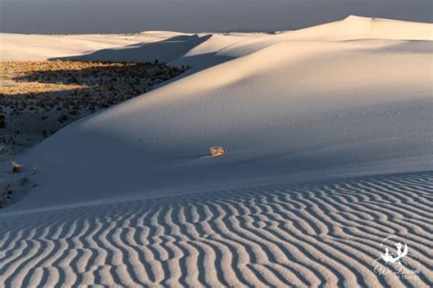 📸 White Sands Photography Guide Best Spots And Tips 2024