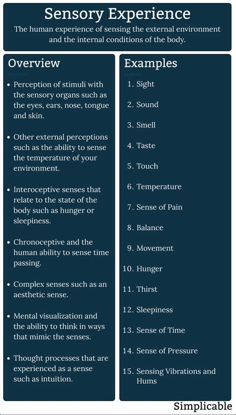 30 Examples Of Sensory Experience Simplicable