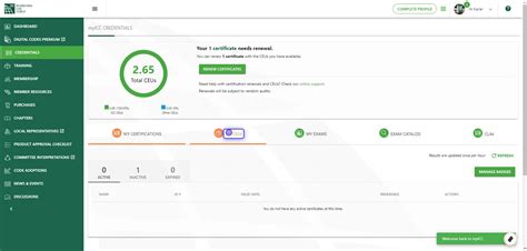 Guide To Self Reporting Icc Ceus