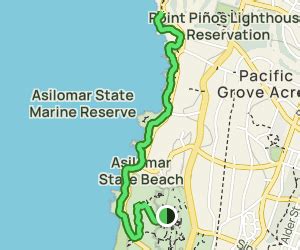 Asilomar State Beach And Coast Trail 644 Reviews Map California