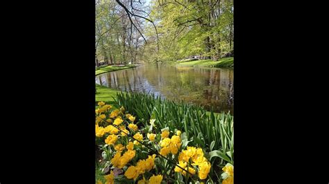 Найбільший парк квітів у Нідерландах Кекенгоф Нідерланди Tulips