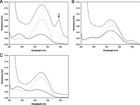 Quinonoid Formation In The Wild Type Spt N100y And R378a Mutants Download Scientific Diagram