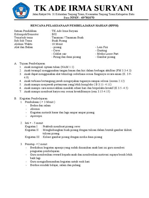 Rpp Tk Pdf Kesehatan Holistik