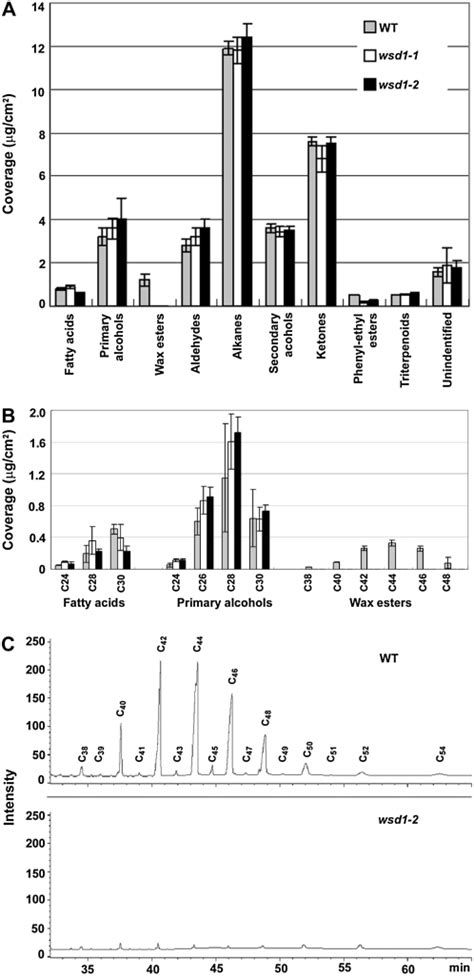 Identification Of The Wax Ester Synthaseacyl Coenzyme Adiacylglycerol